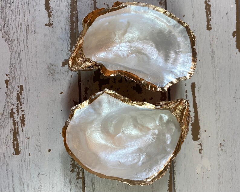 Pair of Gilded Oyster Shell Salt & Pepper Dishes With Spoons - Etsy
