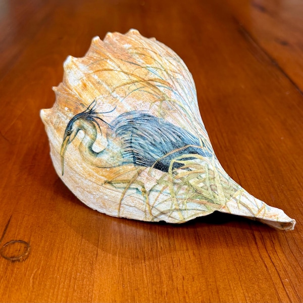 Outer Banks Shell Art - Etsy