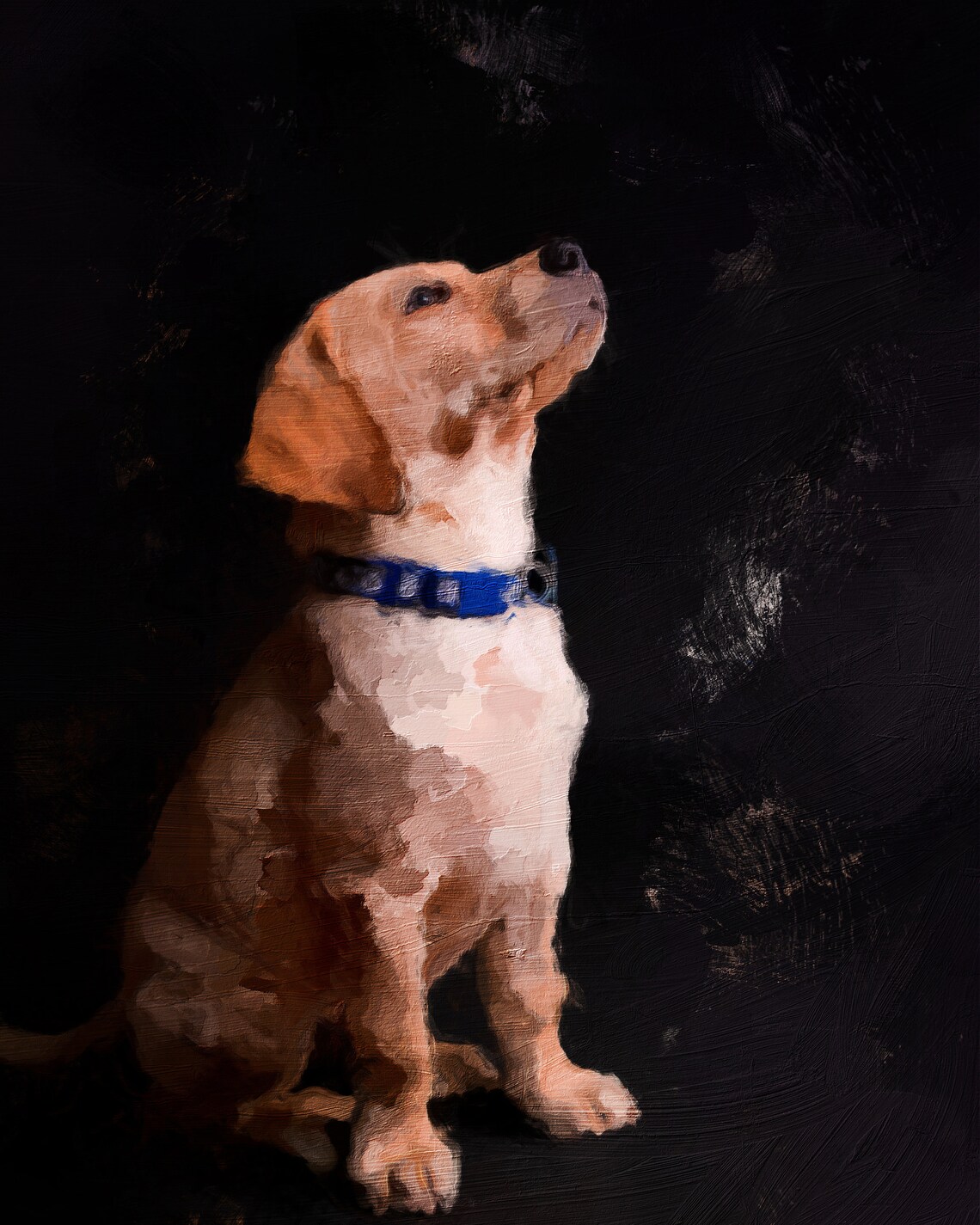 Cute Small Dog Portrait Black Background Digital Oil - Etsy