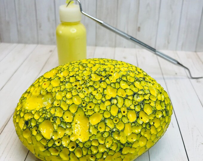 Picky Party. Anxiety Relief Pumice Stone Kit for Stress Relief. Fully ...