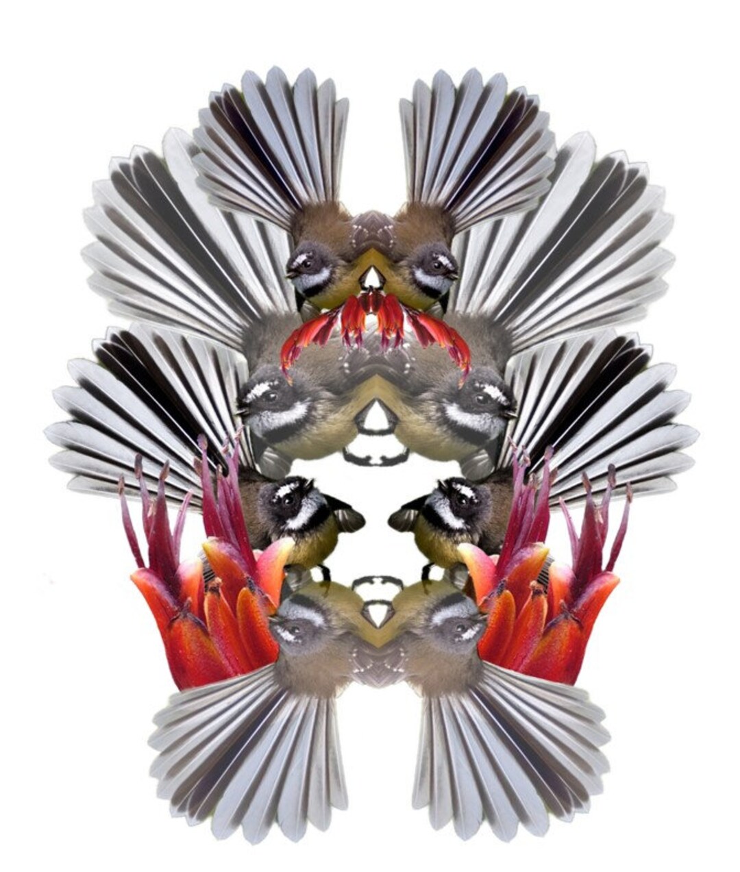 Fantails INSTANT DOWNLOAD - Etsy
