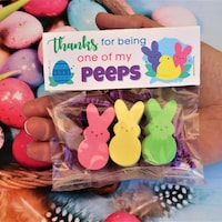 PRINTABLE Easter S’mores Bag Toppers, Easter Peeps S'more Bag Tag ...