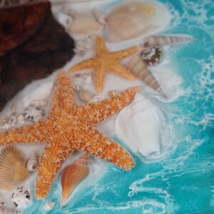 Sea Shell and Walnut Burl Charcuterie Board/serving Tray/centerpiece - Etsy