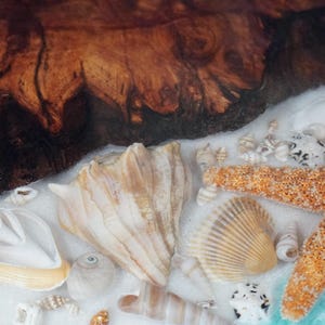 Sea Shell and Walnut Burl Charcuterie Board/serving Tray/centerpiece - Etsy