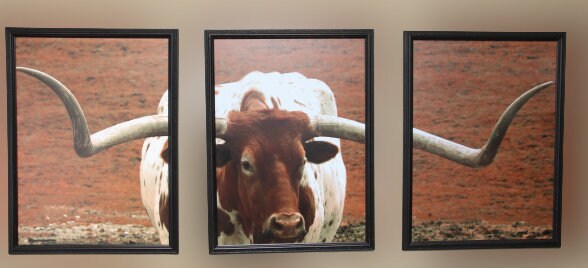 3 Panel Texas Longhorn Set - Etsy