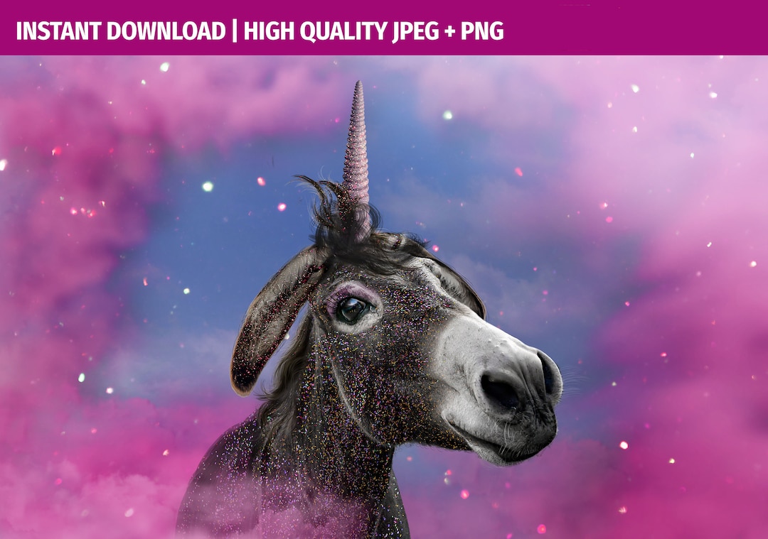 Encanto Digital Backdrop. INSTANT DOWNLOAD. Mirabel Donkey Unicorn ...