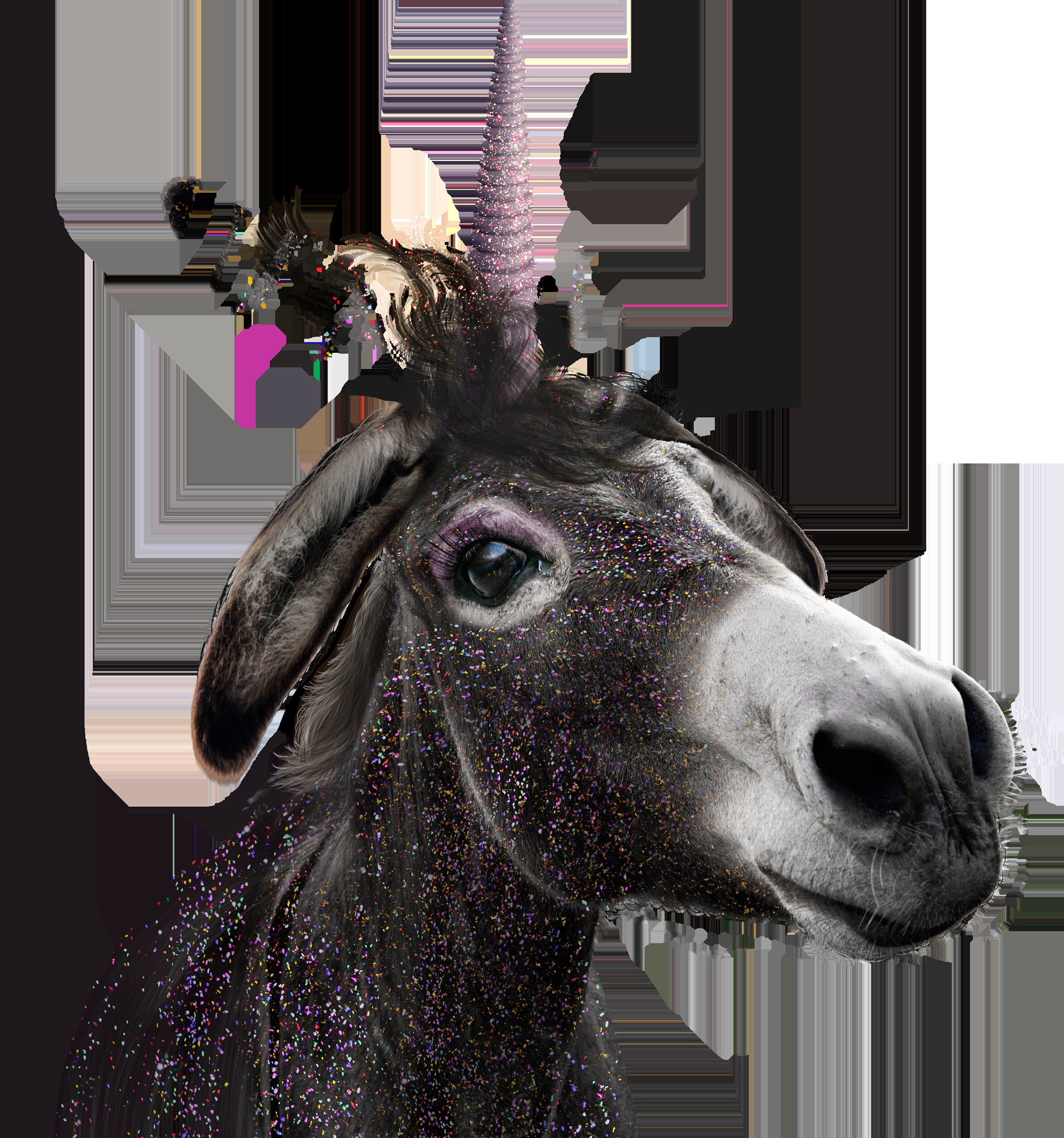 Encanto Digital Backdrop. INSTANT DOWNLOAD. Mirabel Donkey Unicorn ...