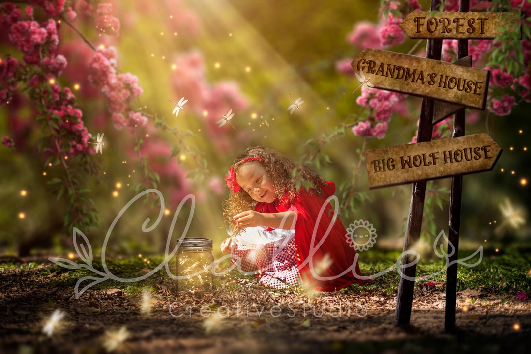 Red Riding Hood Digital Background. Fairytale Background. Forest ...