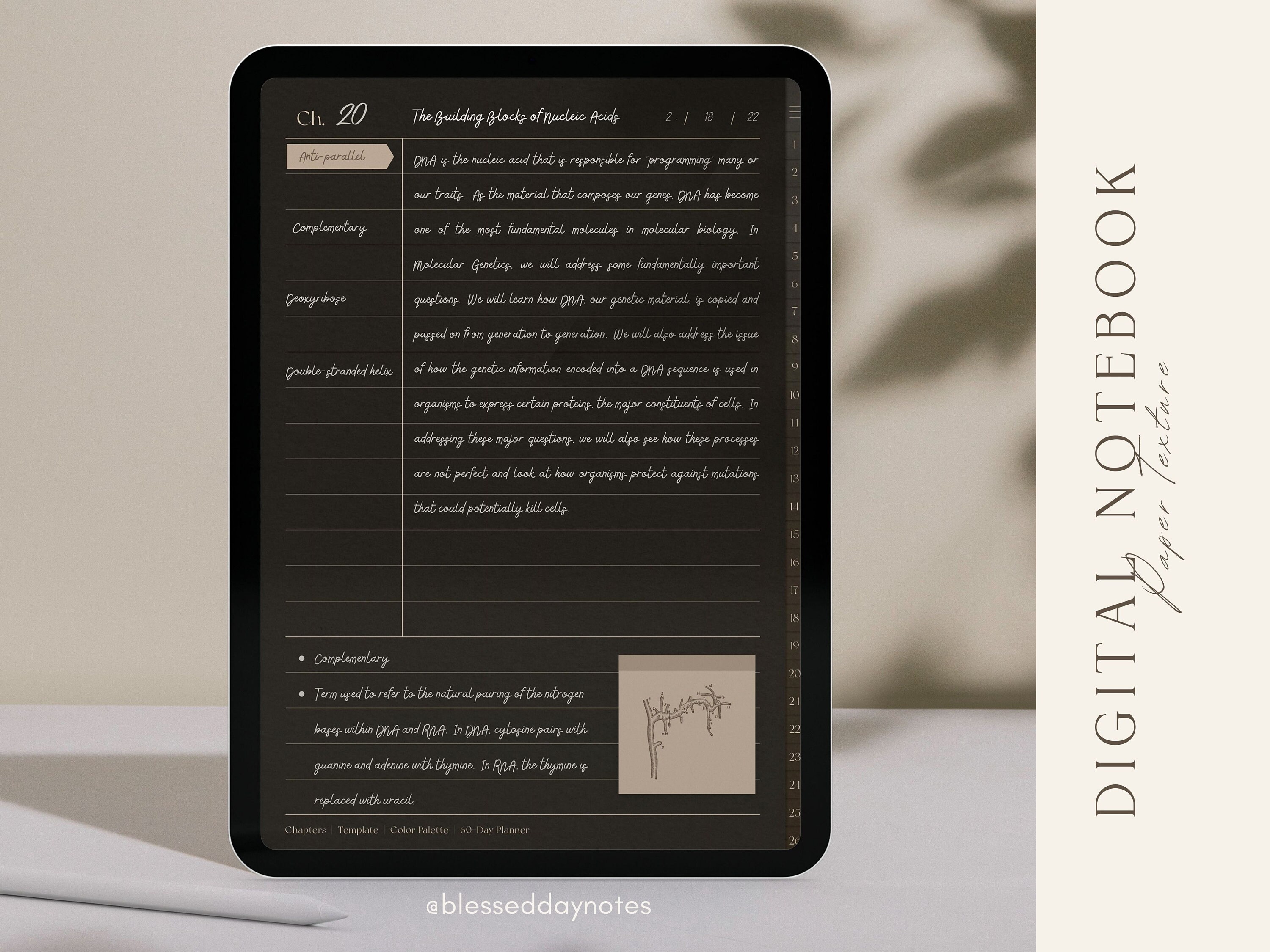 Digital Notebook Paper Texture Goodnotes/ Notability/ Collanote ...