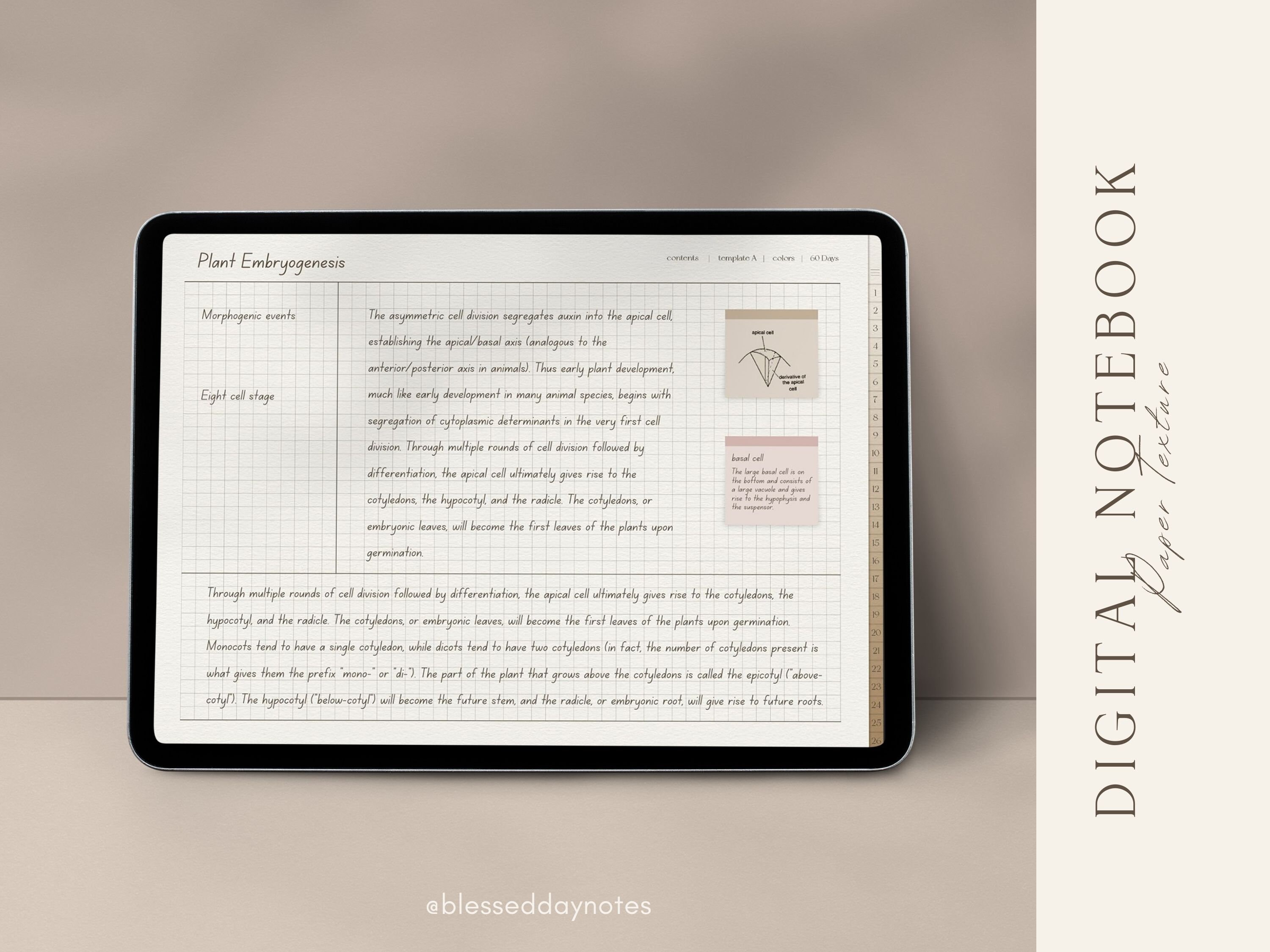 Digital Notebook Landscape Paper Texture Goodnotes/ Notability ...