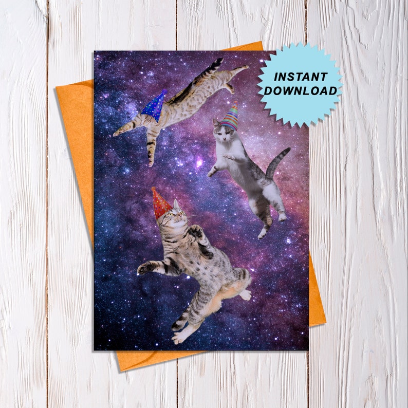 Cats in Space Birthday Card: Funny Cat Lady B-day (digital Download) - Etsy