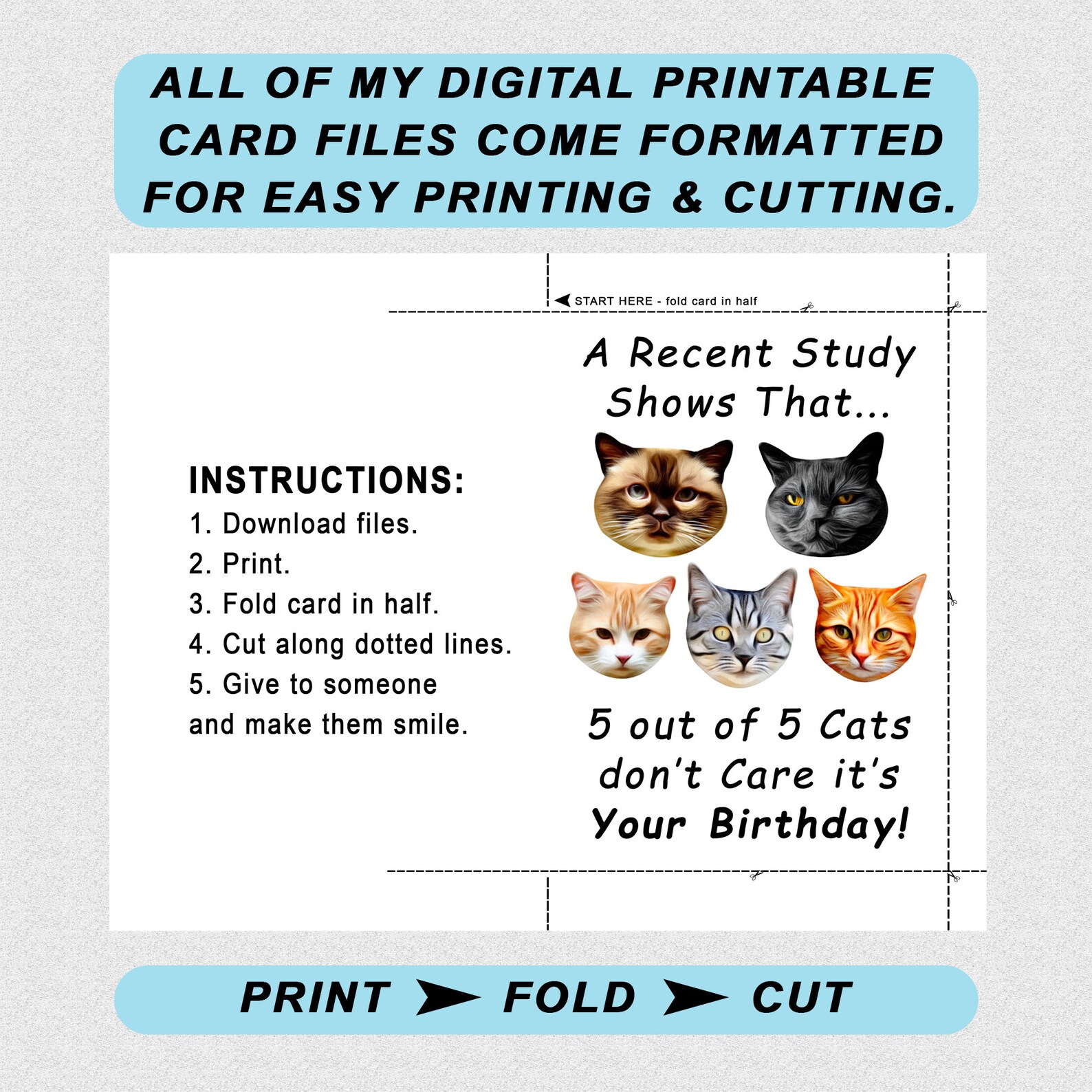 Printable Cat Birthday Card Funny Greeting Cards PDF - Etsy