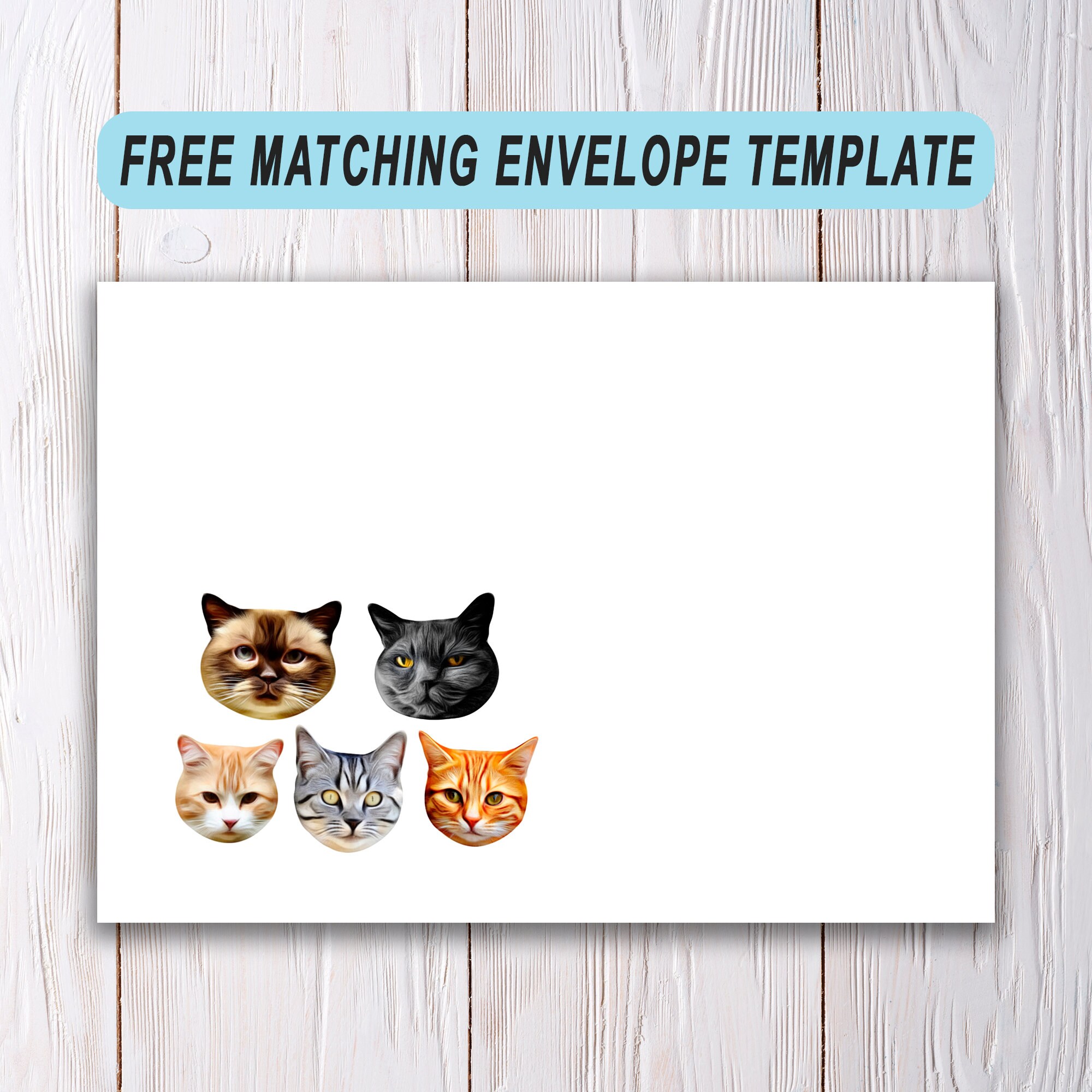 Printable Cat Birthday Card, Funny Greeting Cards, PDF Birthday Card ...
