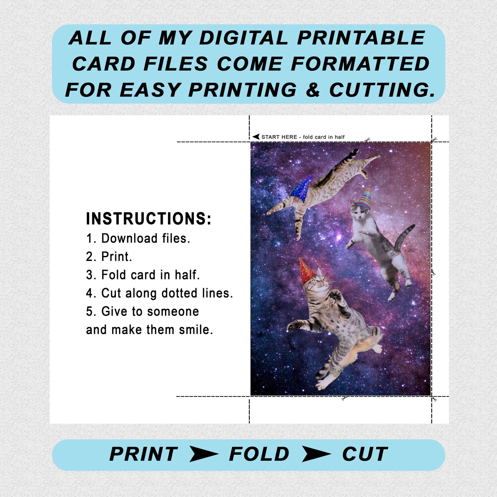 Cats in Space Birthday Card: Funny Cat Lady B-day (digital Download) - Etsy