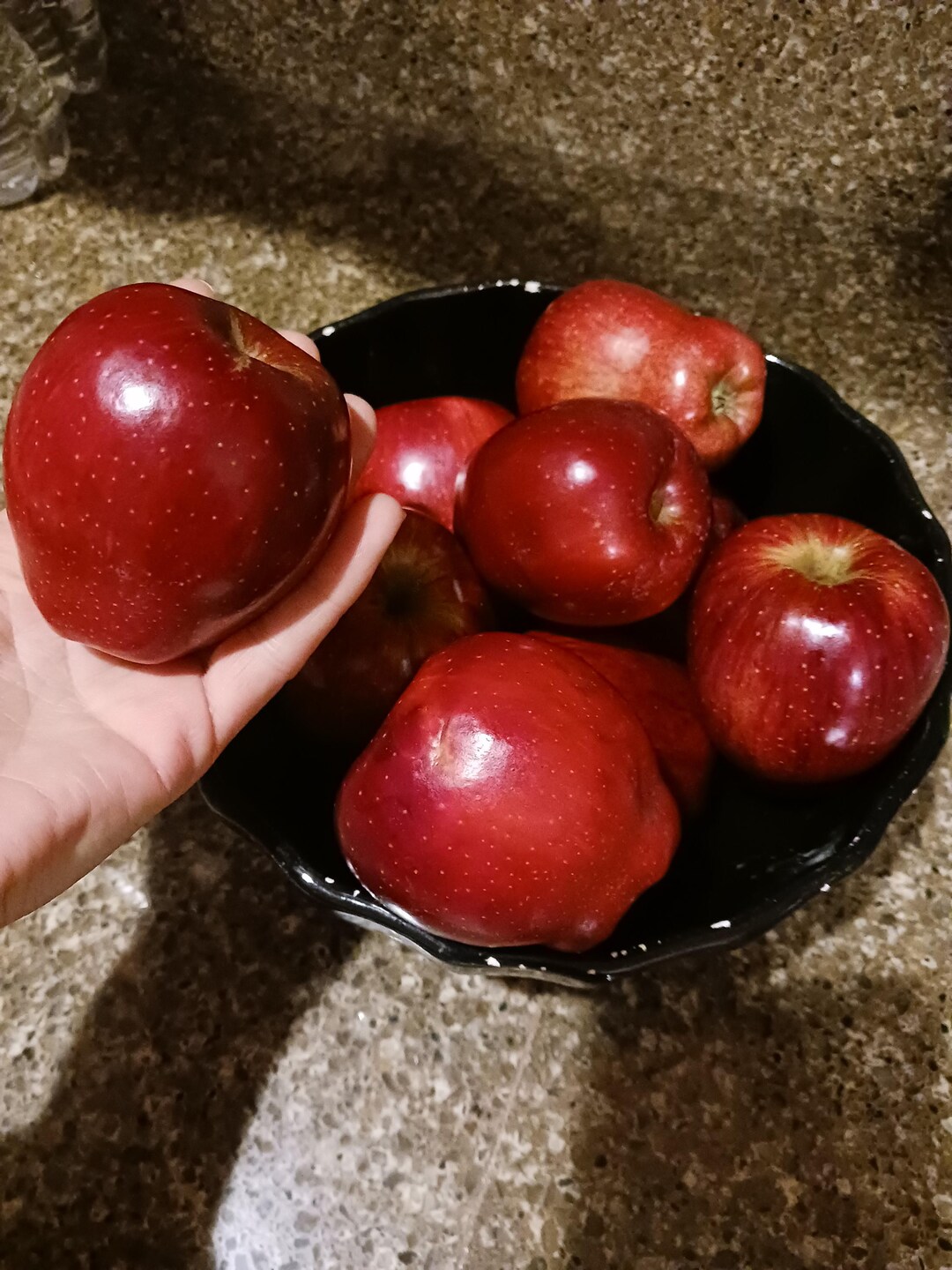 Organic Non Gmo 6 RED DELICIOUS APPLE Seeds Free Ship - Etsy