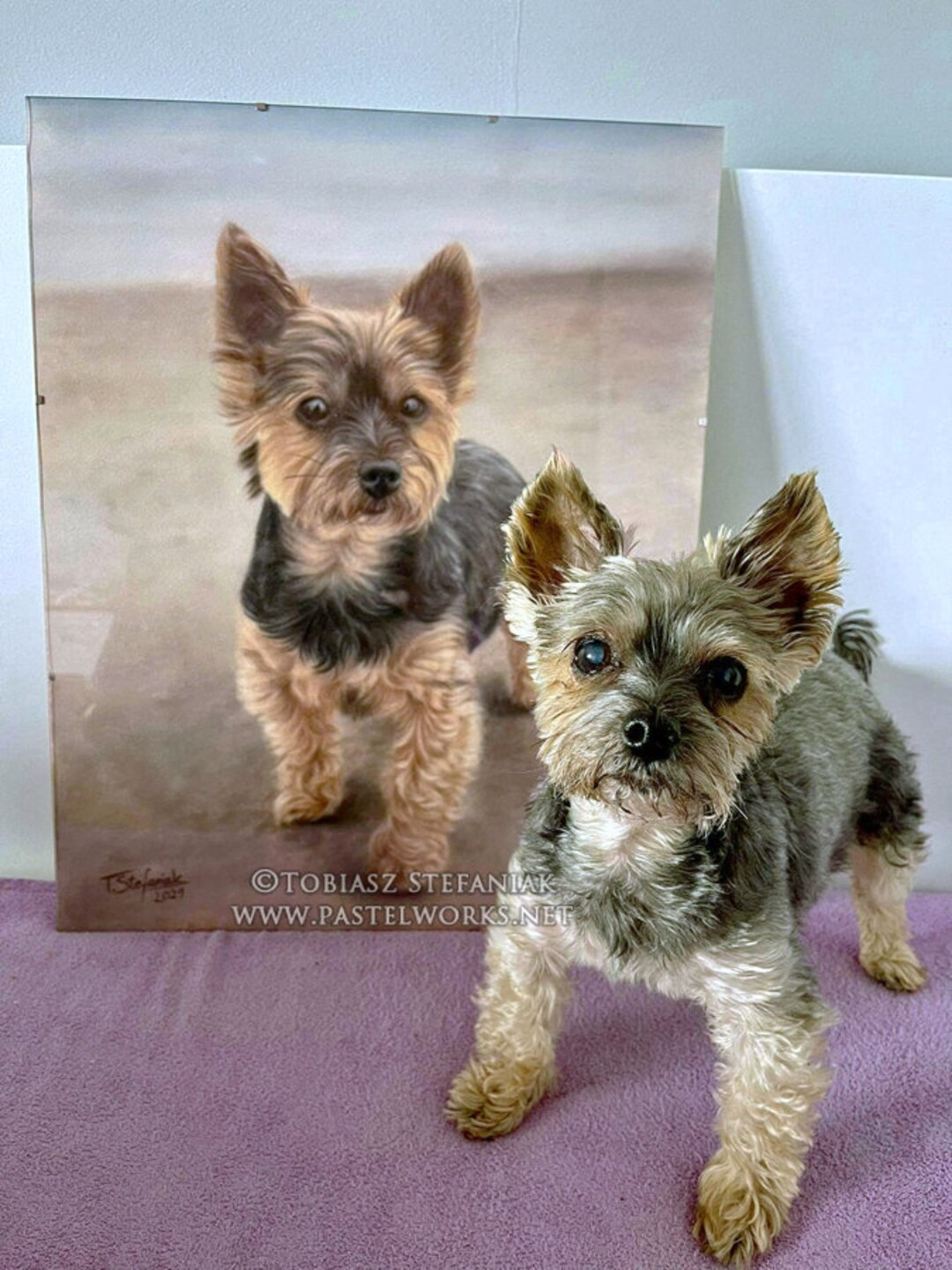 Lifelike, Custom Dog and Cat Portraits With Soul (27x19in or 70x50cm ...