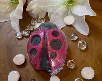Lady Bug Bath Bomb Watermelon Bath Bombs Summer Bath Bombs - Etsy