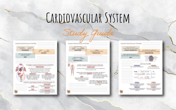 Cardiovascular System TEAS Review 3 Page Study Guide - Etsy