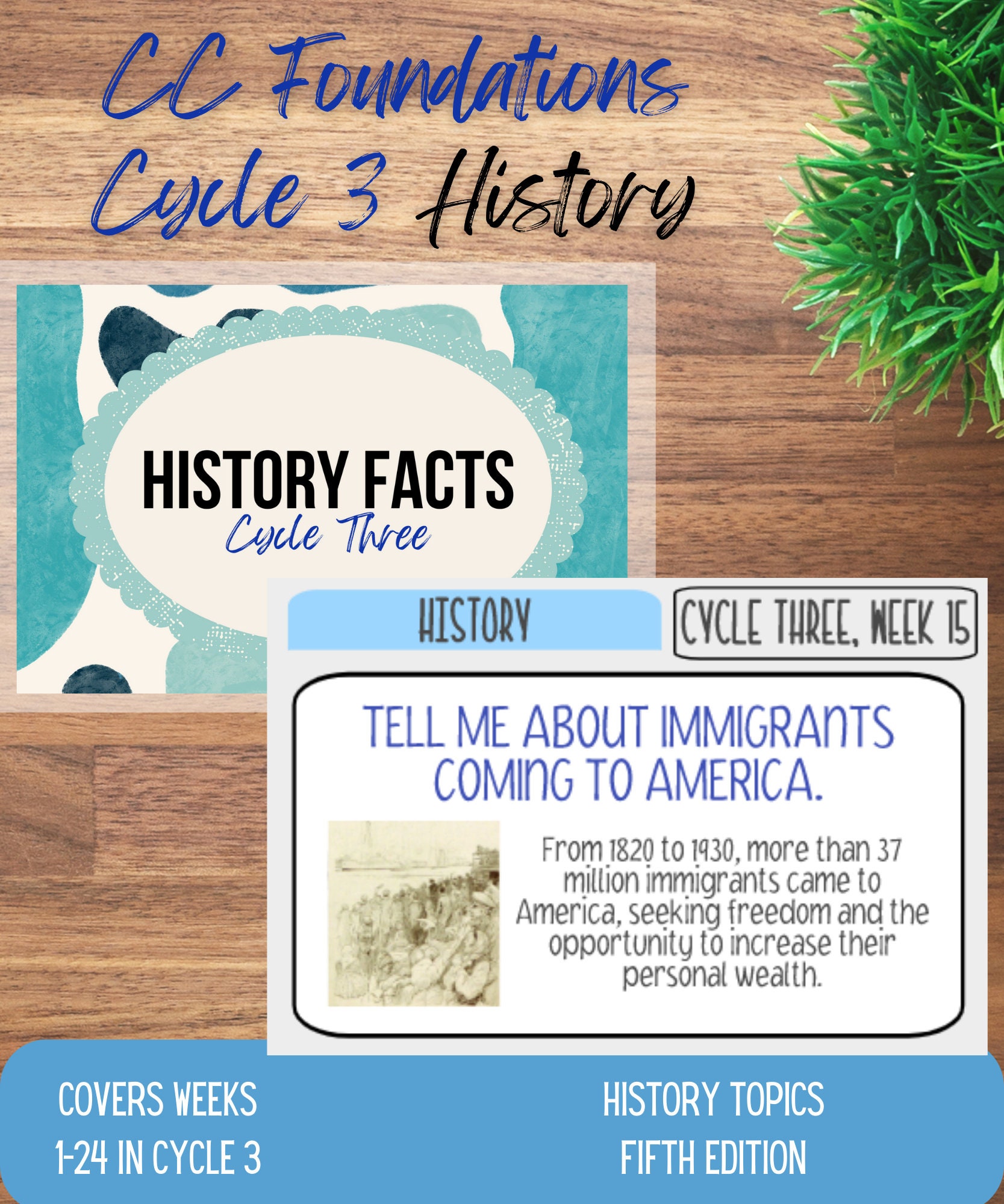 Classical Conversations 4x6 Flash Facts History Memory Work Travel ...