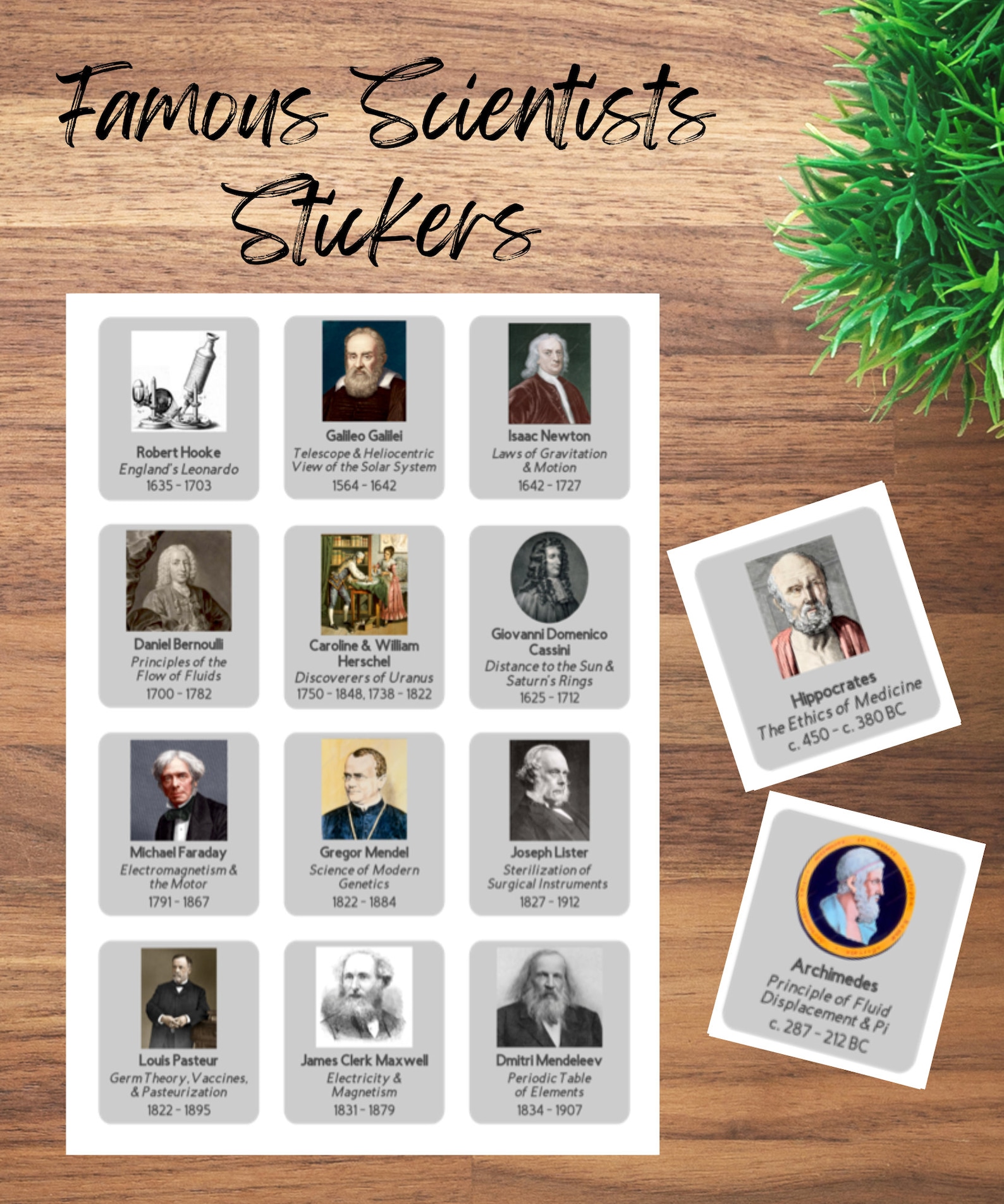 PHYSICAL Timeline Stickers Cut Outs Printed Classical Conversations ...