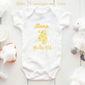 Baby Monthly Milestone Personalised Bodysuits, Personalised Baby ...