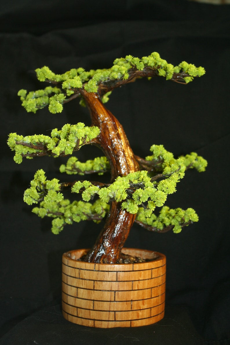 Hand Made Bonsai Tree - Etsy