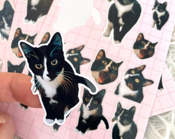Personalized Cat Stickers - Hand Drawn | Custom Pet Stickers, Cat ...