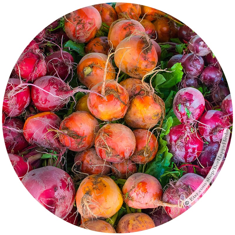 Rare Vegetable Seeds - Etsy