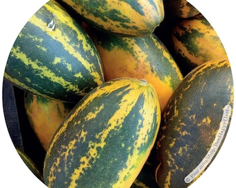 Indian Vegetable Seeds - Etsy