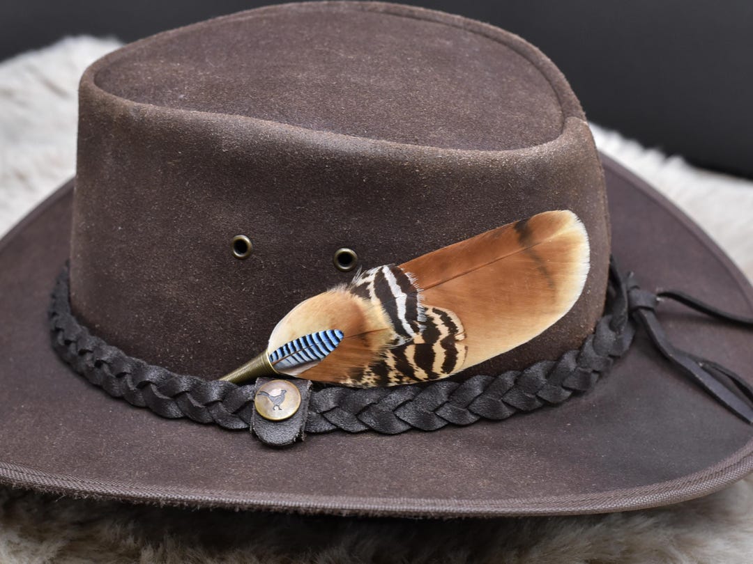 Epic Hatpin | Hawk Blue Jay Peacock | Brown Striped Feathers | Western ...