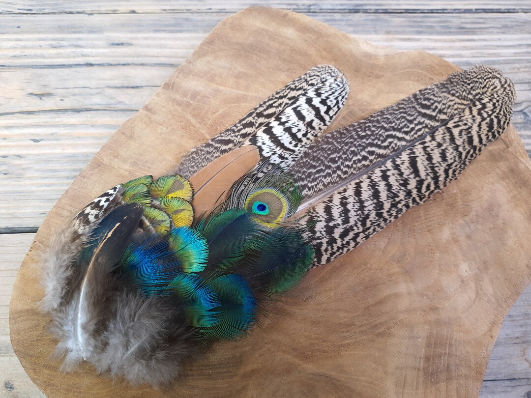 Special Peacock Feather Mix Diy Craft Hat Feathers - Etsy