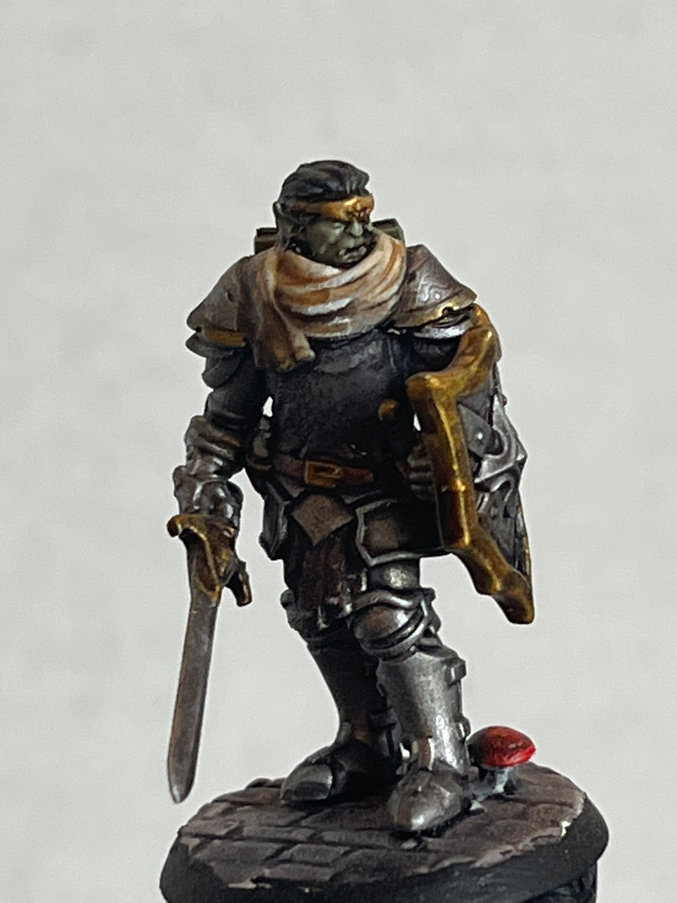 Half Orc Pathfinder Paladin