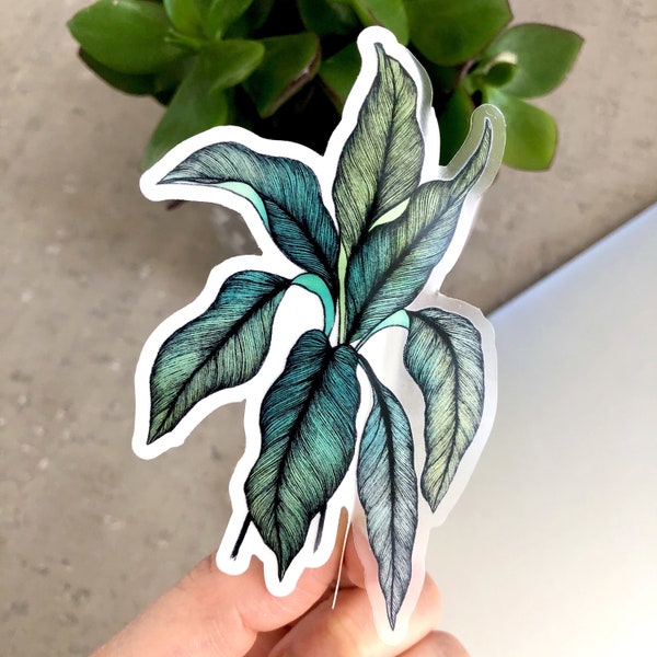 Spider Lily Sticker - Etsy