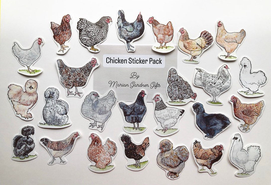 Chicken Sticker Pack-watercolor Artwork. Collectible Stickers.planner ...