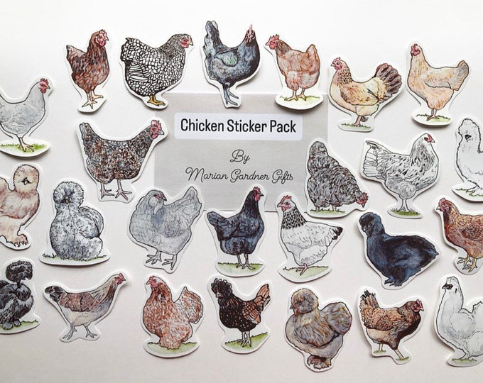 Floral Chicken Sticker Set - Etsy