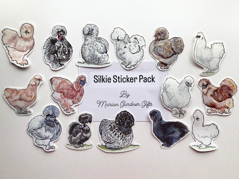 Silkie Chicken Sticker Pack-watercolor Art. Collectible Stickers ...