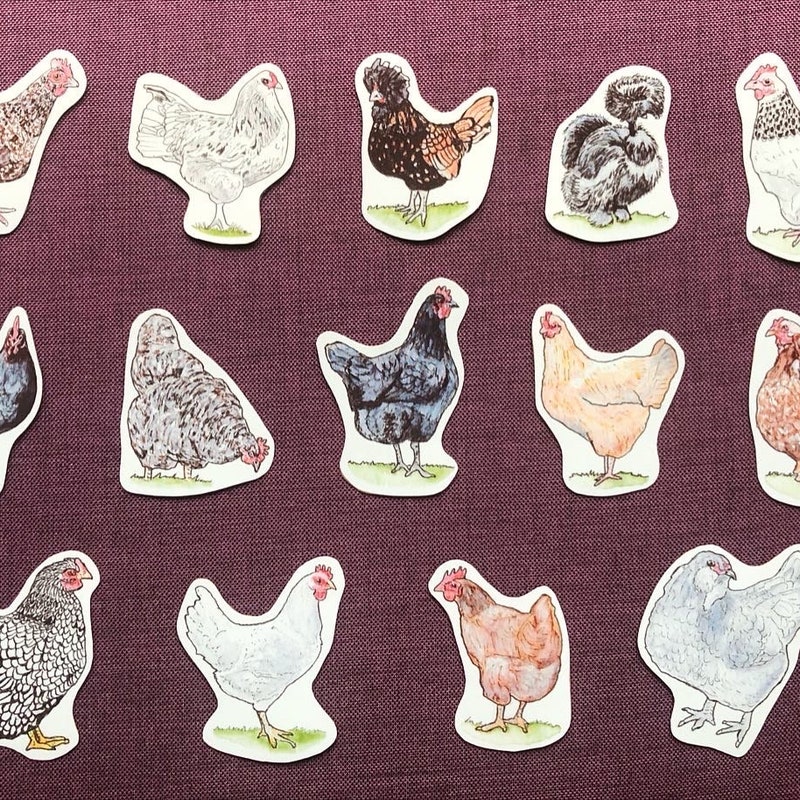 Chicken Magnets - Etsy