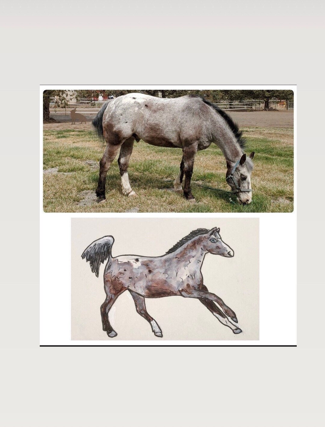 Custom Vinyl Horse Stickers-handmadeequestrian Gifthorse - Etsy