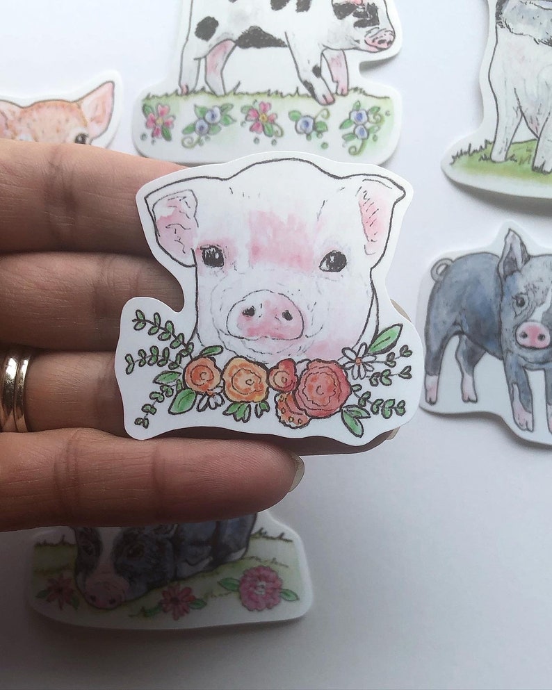 Pig Sticker Pack-handmade Artwork. Collectible Pig Stickers. - Etsy