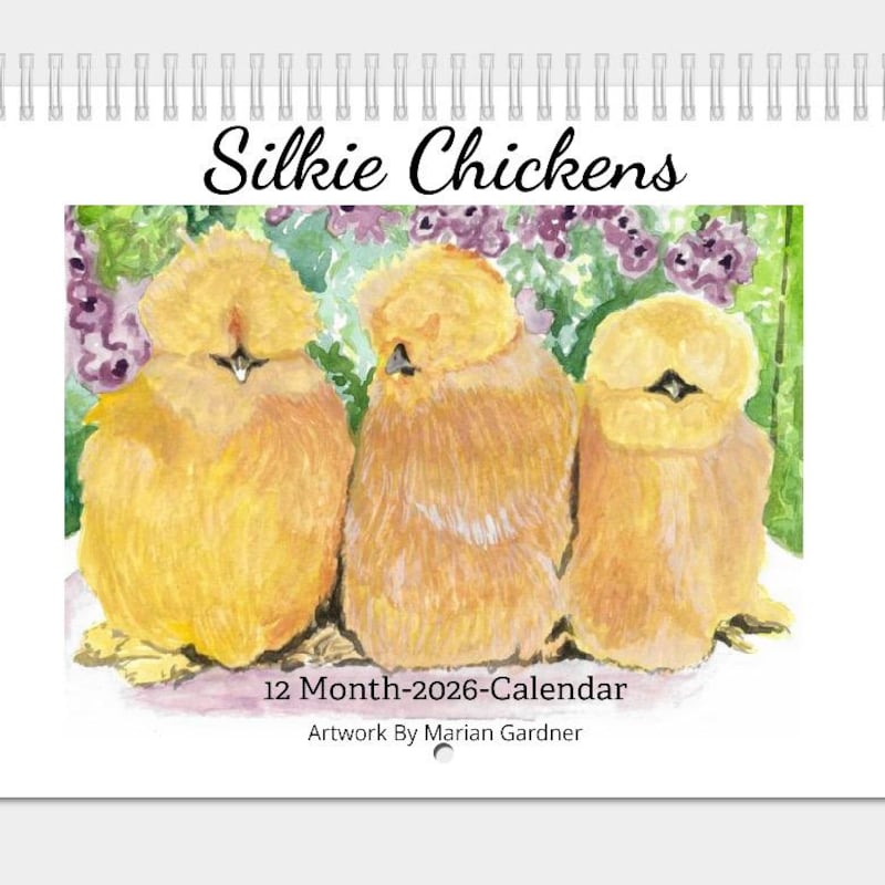Backyard Chicken Calendar - Etsy