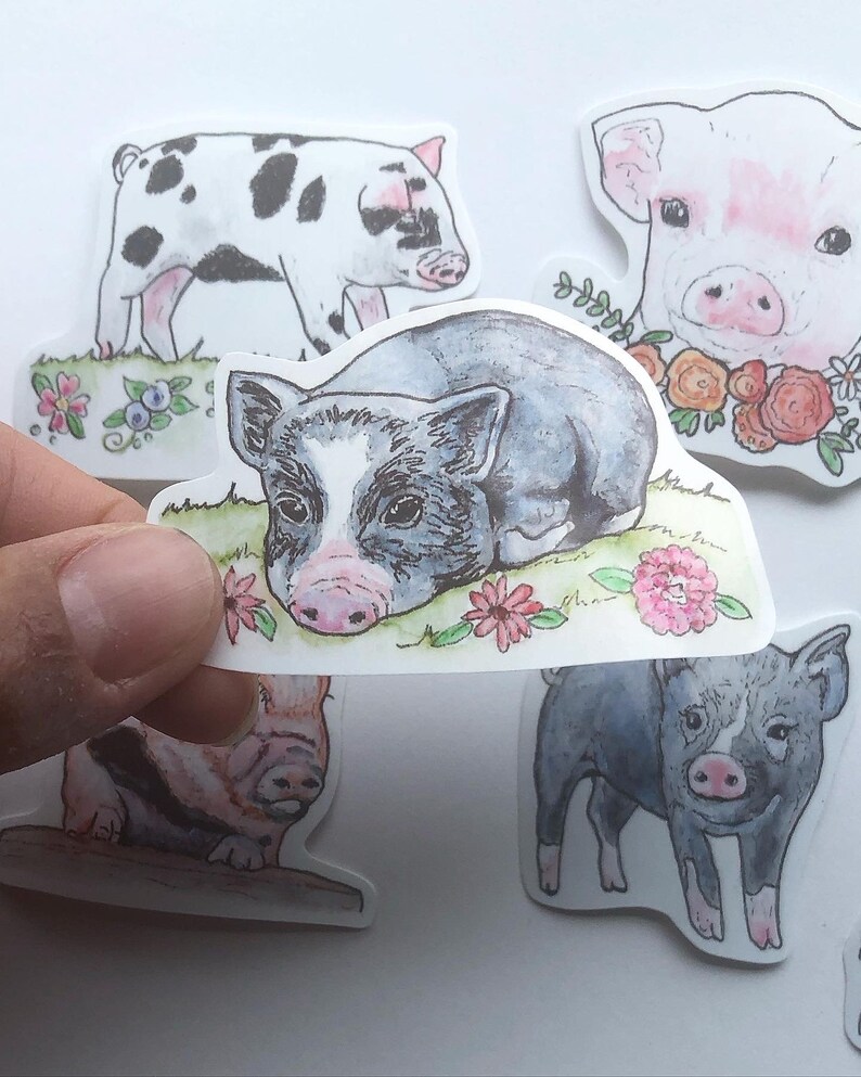 Pig Sticker Pack-handmade Artwork. Collectible Pig Stickers. - Etsy