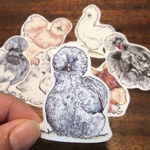 Silkie Chicken Sticker Pack-watercolor Art. Collectible Stickers ...