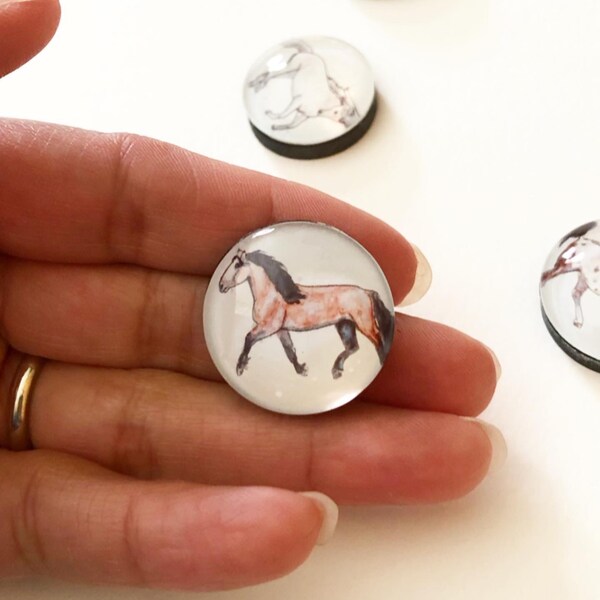 Horse Fridge Magnet - Etsy