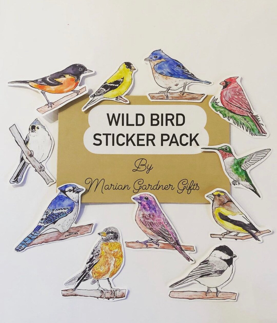 Wild Bird Sticker Pack-handmadeartworkcollectible Bird - Etsy