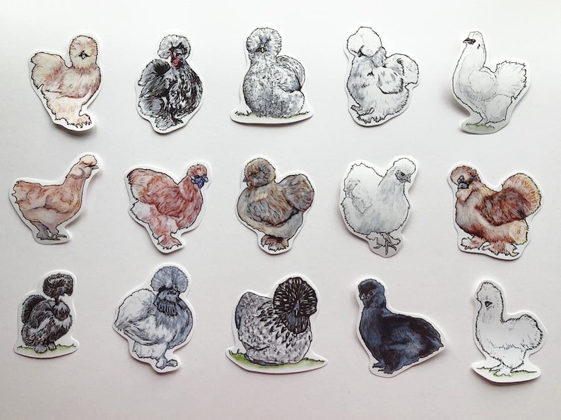 Silkie Chicken Sticker Pack-watercolor Art. Collectible Stickers ...