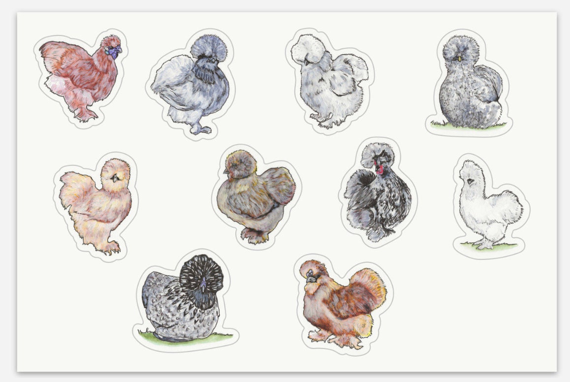 Vinyl Silkie Chicken Sticker Sheet-silkies Giftchicken Stickerlaptop ...