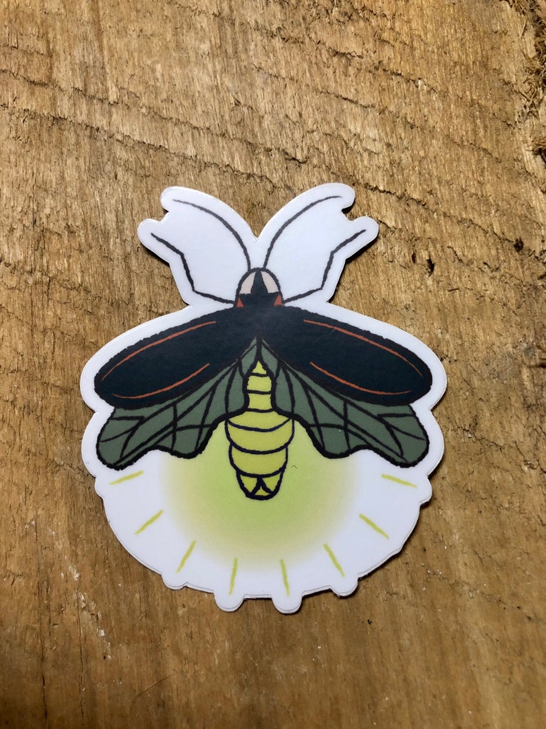 Firefly Lightning Bug Sticker A Reminder to Live a Life That Lights You ...