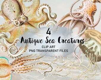 Creature Clip Art | Etsy