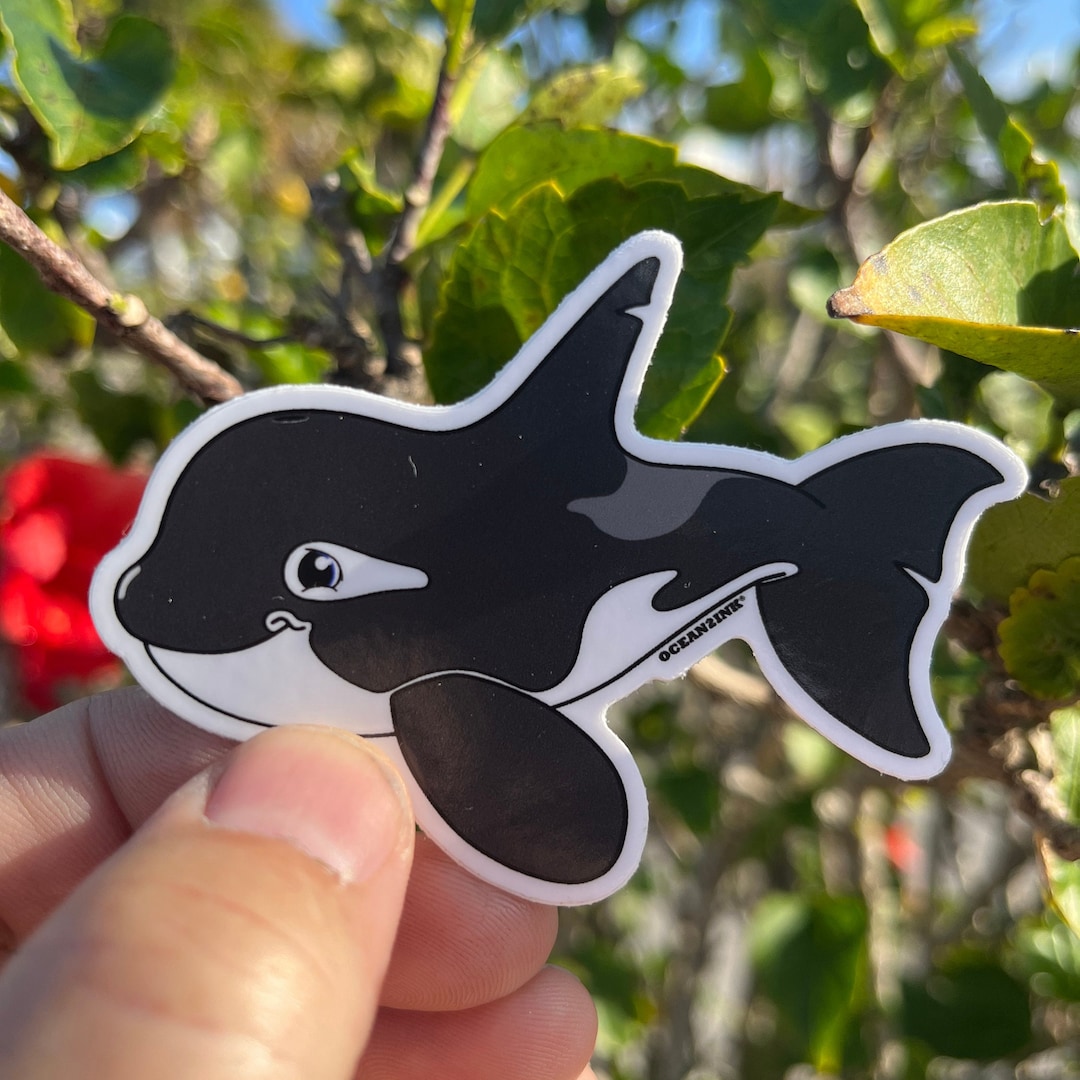 Cute Killer Whale Sticker-3" | Orca Sticker | Whale Sticker | Dolphin ...