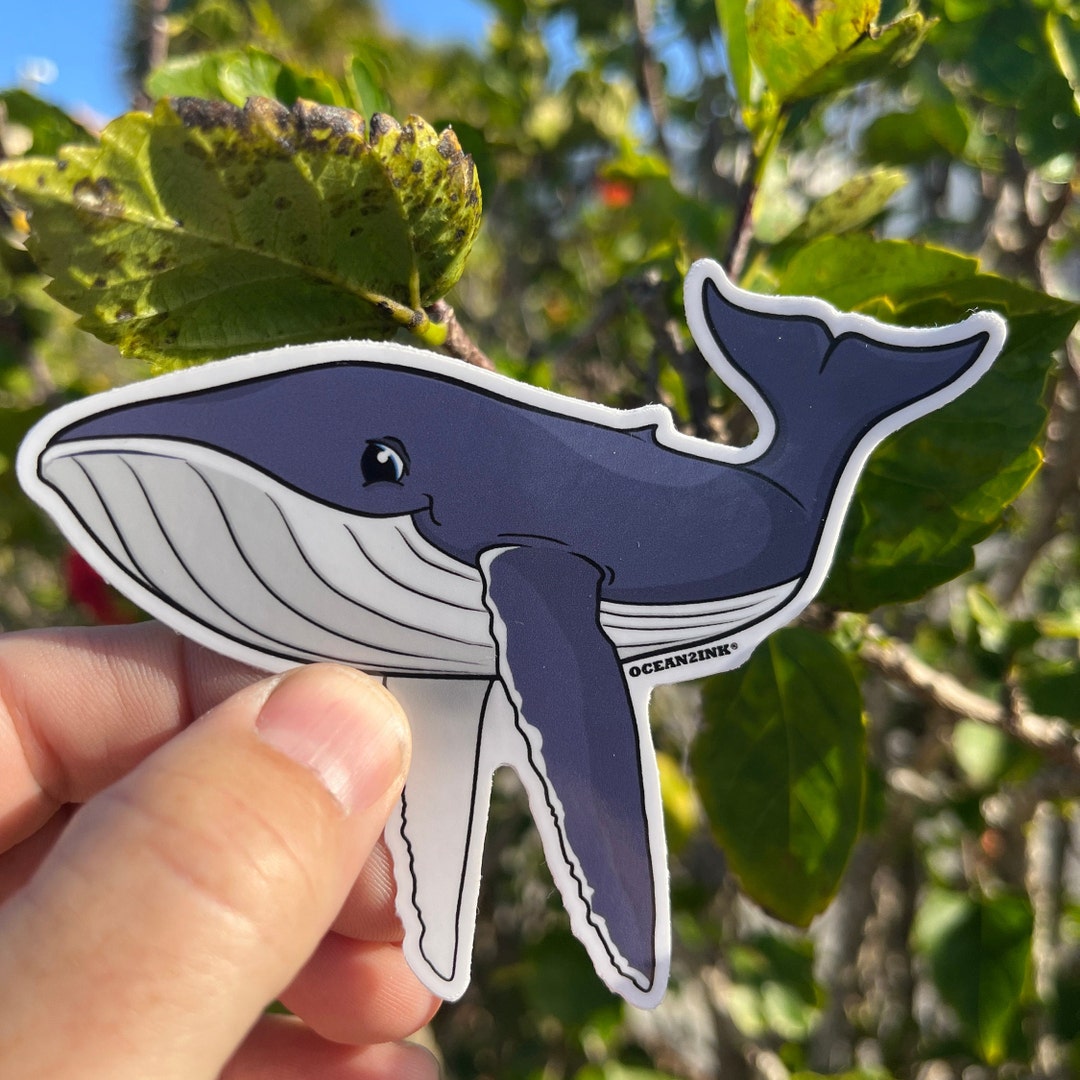 Cute Humpback Whale Sticker- 3" | Whale Sticker | Dolphin Sticker ...